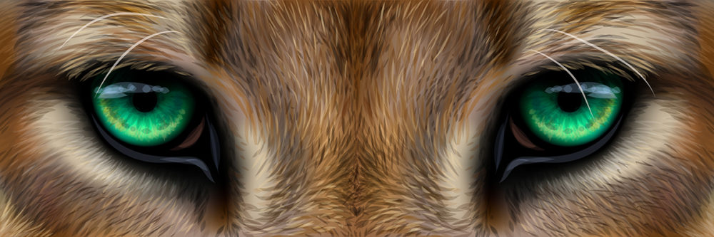 The PR power of an “exclusive”: what it is and why it works - Welch PR