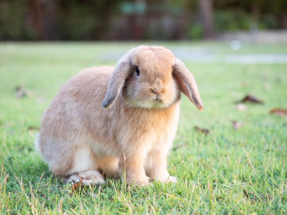 An introvert's guide to networking - Welch PR