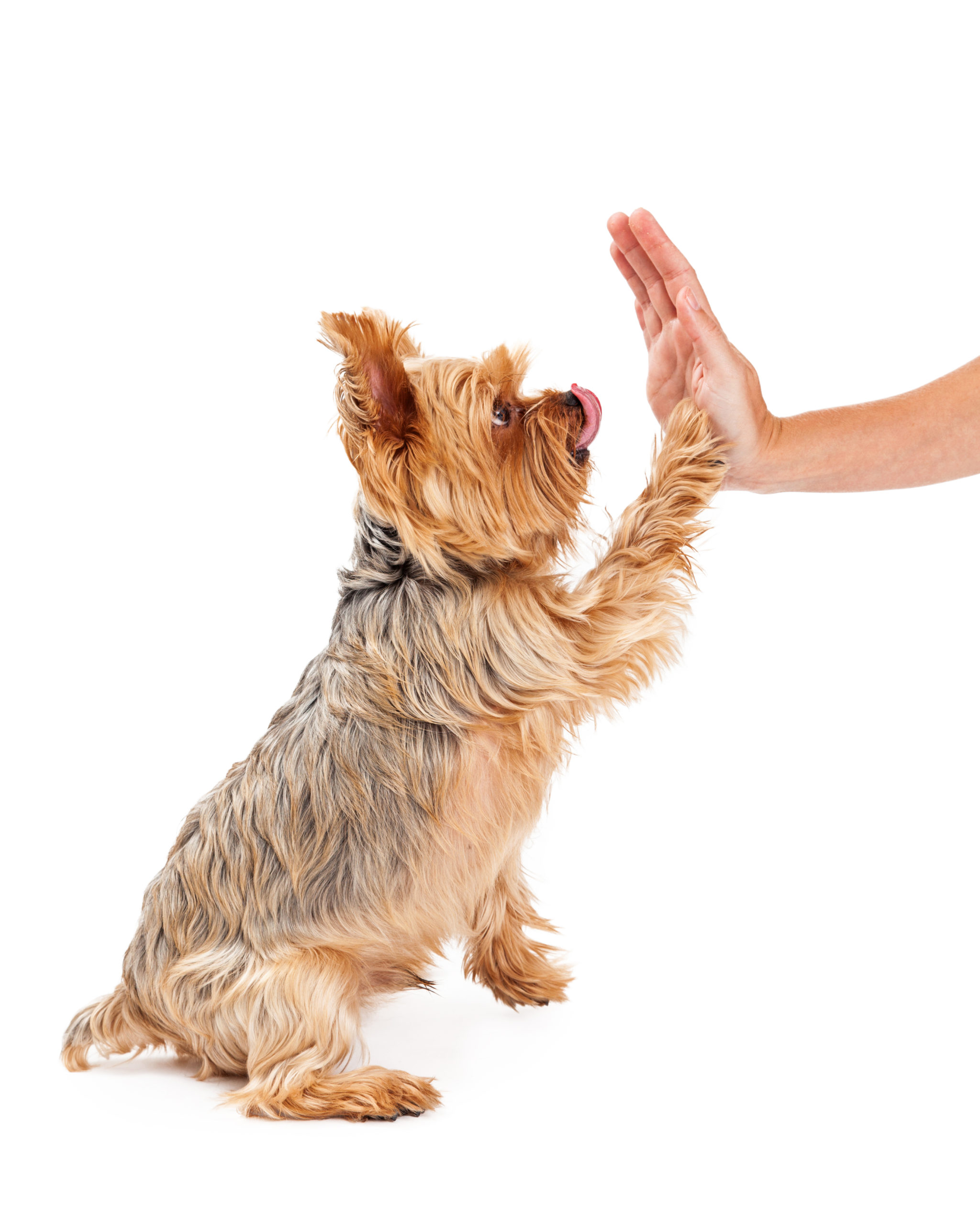 How to choose the right PR agency for your law firm - Welch PR