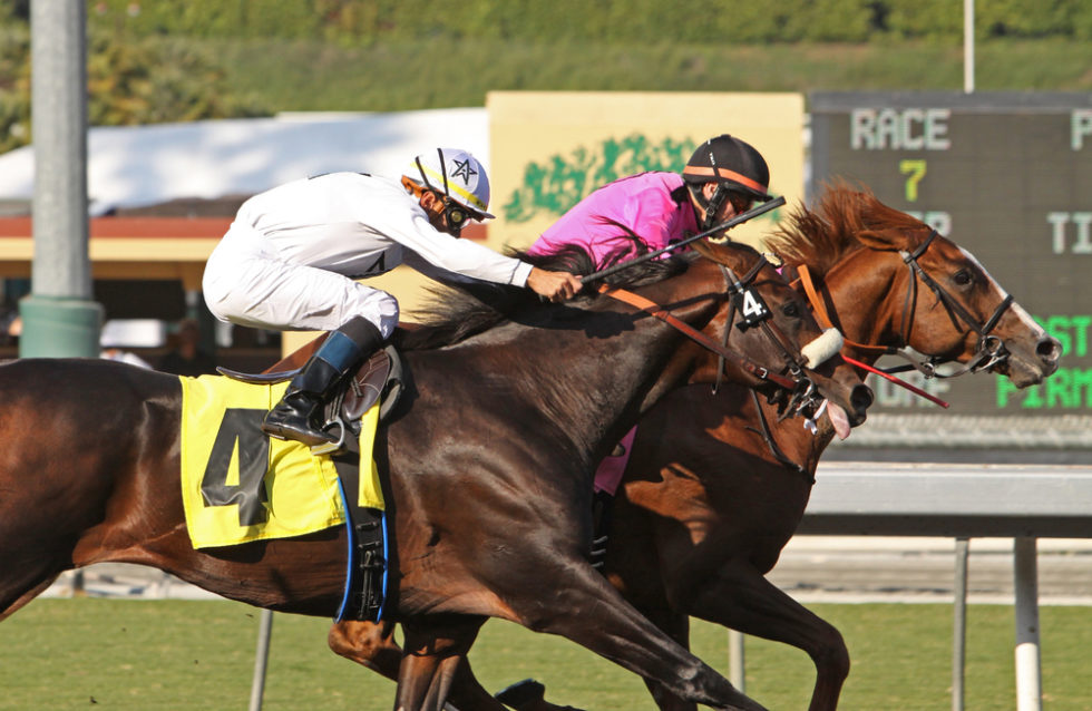 Seven winning LinkedIn post ideas for lawyers - Welch PR