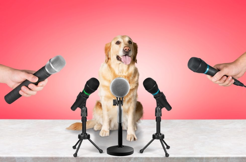 How to become a go-to source for legal journalists - Welch PR